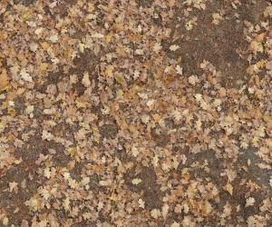 ground textures - Texturelib